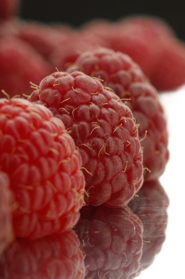 Raspberry stock photo. Image of health, dessert, macro - 876770