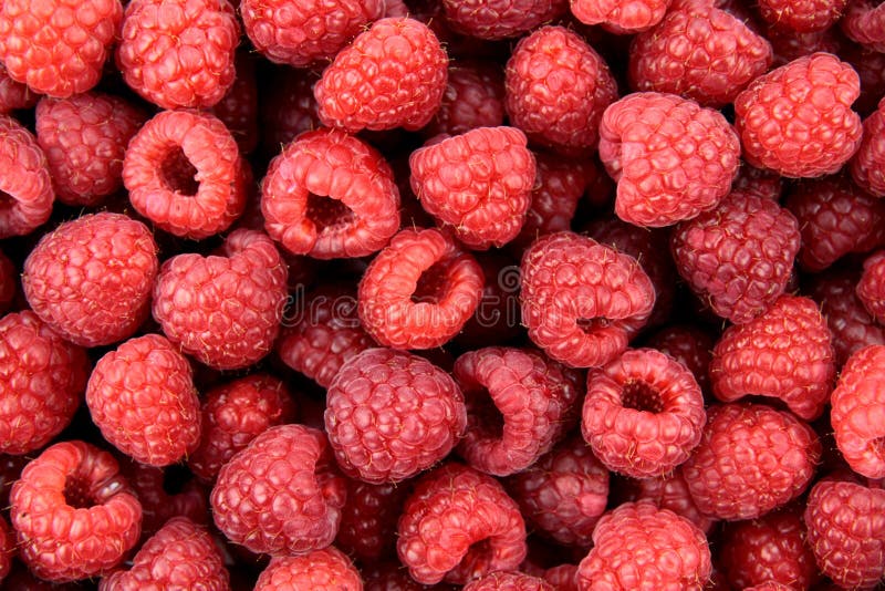 Raspberry background stock image. Image of juicy, freshness - 31297891