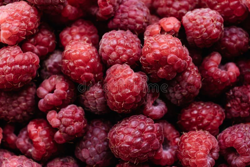 Raspberry Background Closeup. .Backdrop for Your Design Stock Image ...