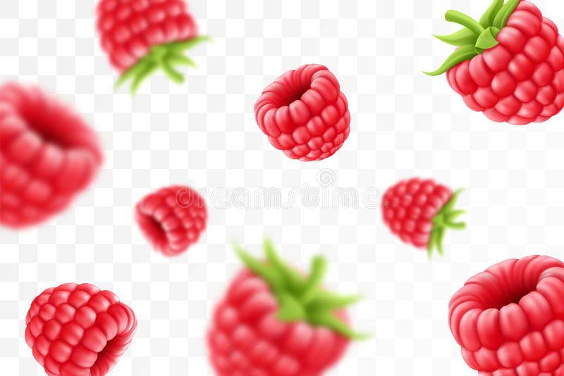 Raspberry Background. Flying Raspberry with Green Leaf on Transparent ...
