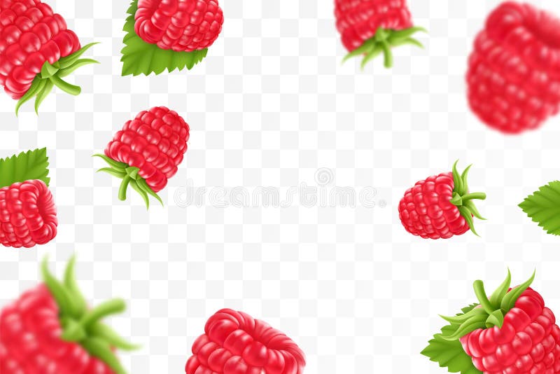 Raspberry Background. Flying Raspberry with Green Leaf on Transparent ...