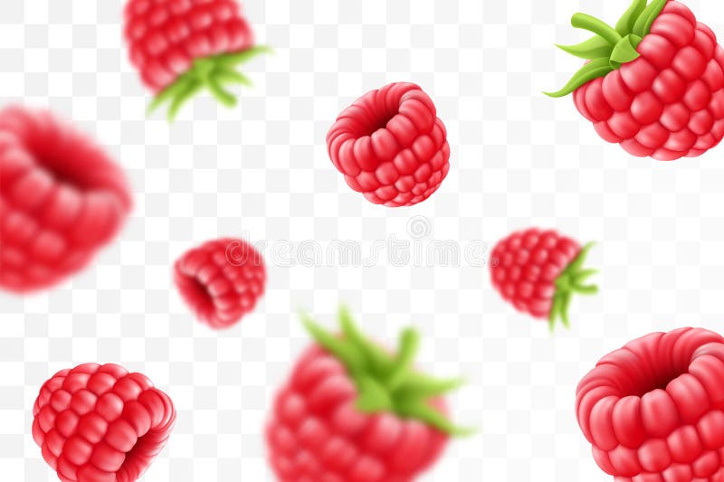 Raspberry Background. Flying Raspberry with Green Leaf on Transparent ...