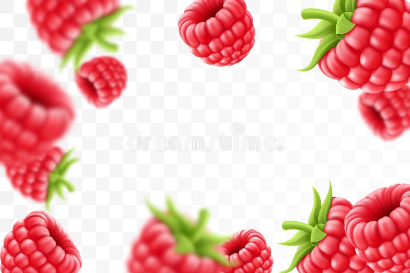 Raspberry Background. Flying Raspberry with Green Leaf on Transparent ...