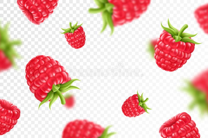 Raspberry Background. Flying Raspberry with Green Leaf on Transparent ...