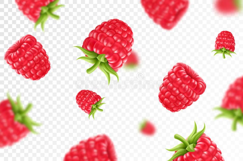 Raspberry Background. Flying Raspberry with Green Leaf on Transparent ...