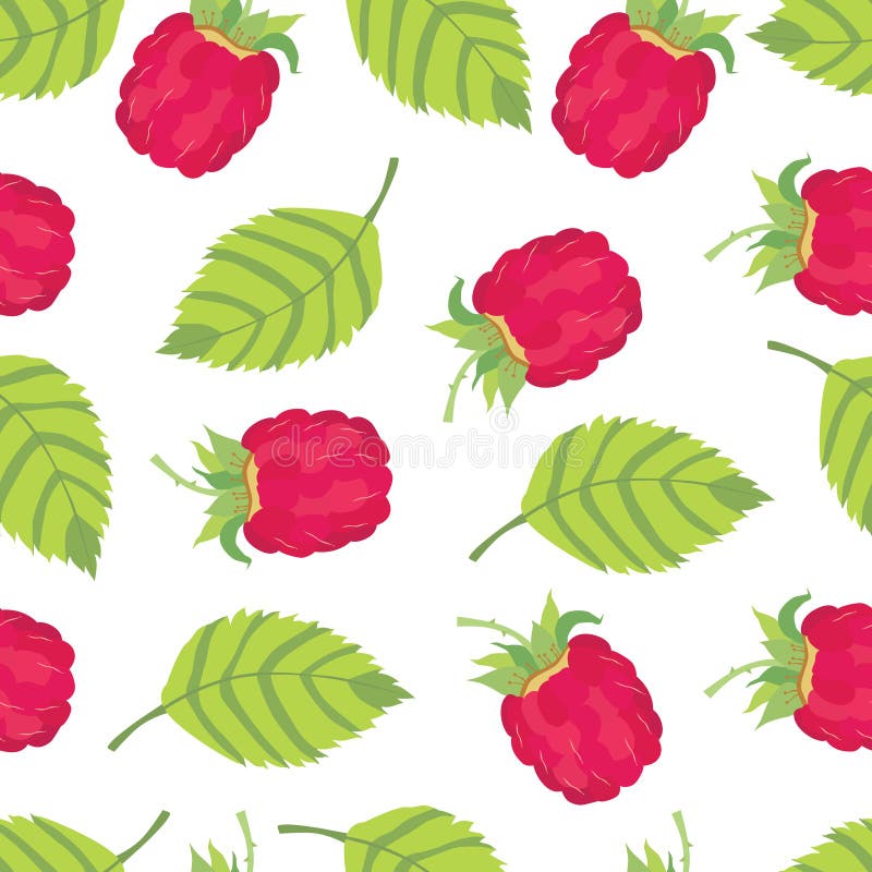 Raspberry on a Red Background Stock Illustration - Illustration of pink ...