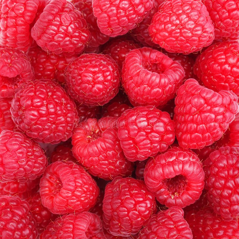 Background with Raspberry, Lemon and Mint. Neural Network AI Generated ...