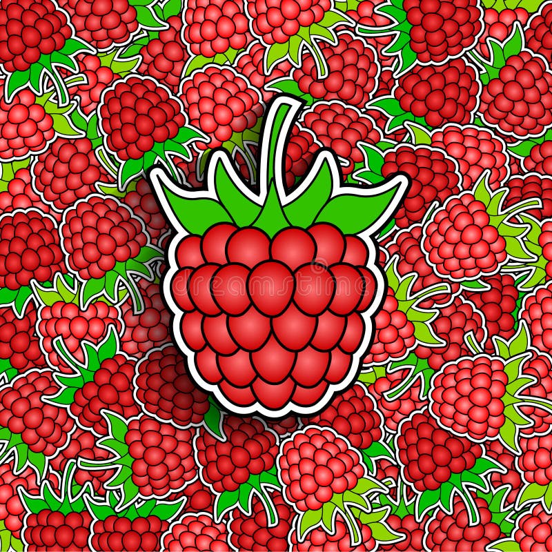 Raspberry background stock vector. Illustration of vitamin - 41629200