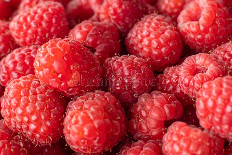 Raspberry Background, Top View Raspberry Background, Top View Fresh ...