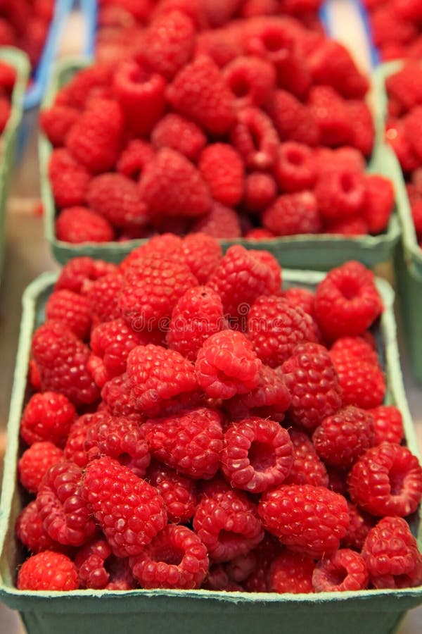 Raspberry Baskets at a Market Stock Photo - Image of green, horizontal ...