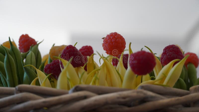 Raspberry beans stock photo. Image of stack, life, drink - 336258606