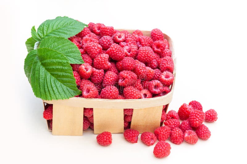 Raspberry Berries in a Basket with a Leaf on a White Background Stock ...