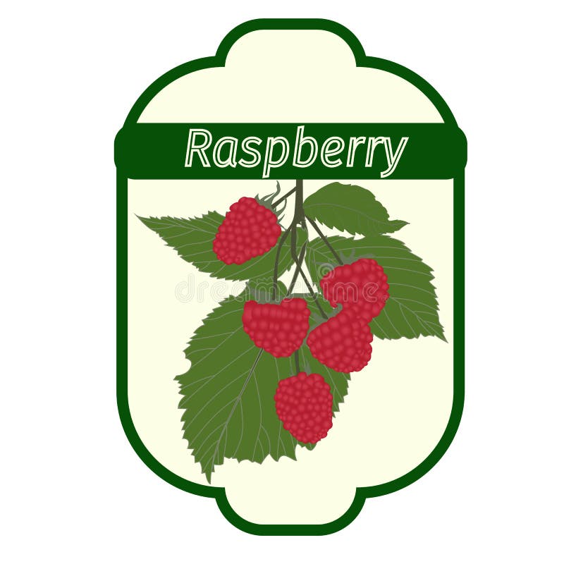 Raspberry Jam Label Template Design. Vector Illustration Stock ...