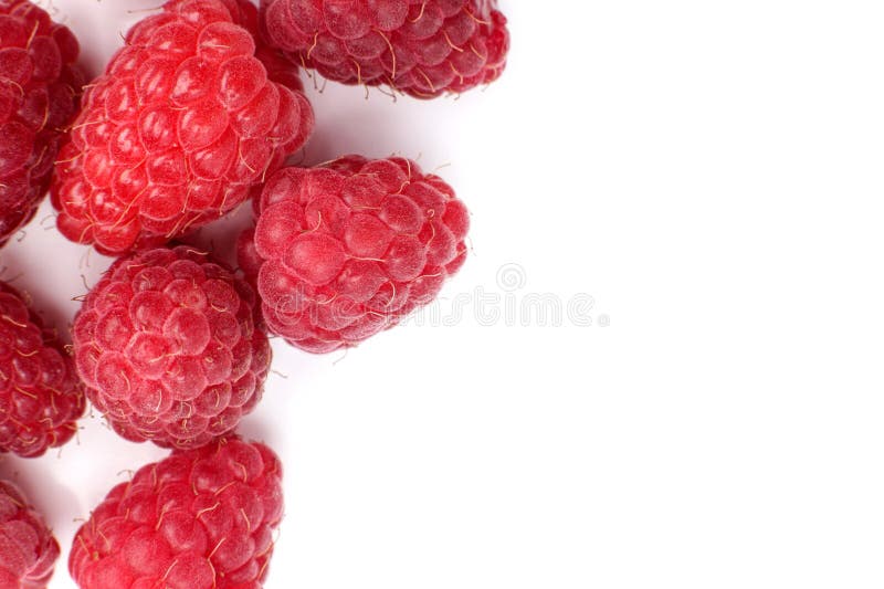 Raspberry Berries Close-up Isolated on White Stock Image - Image of ...