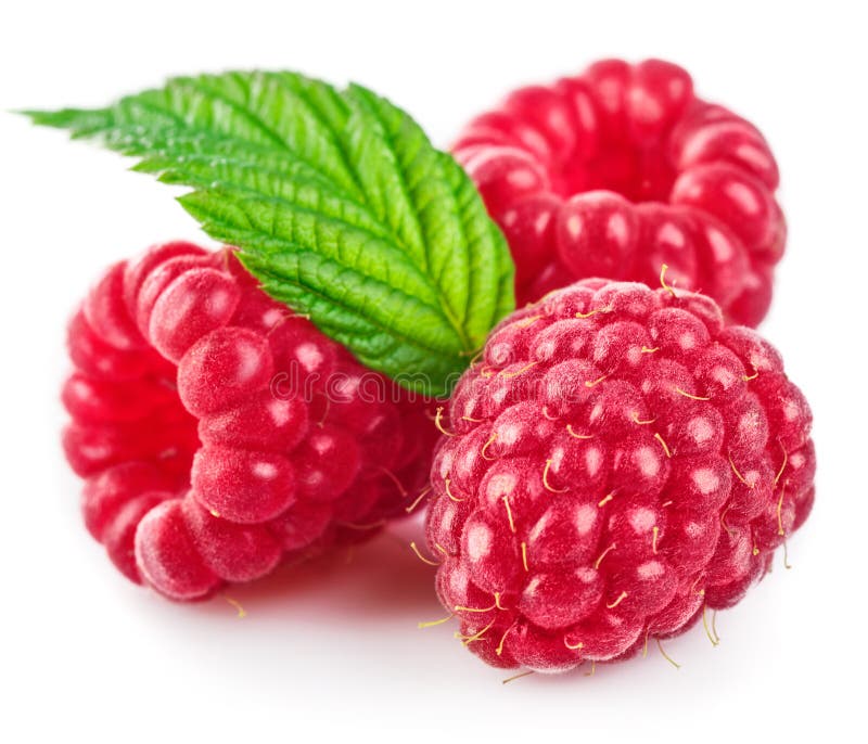 Raspberry berries ripen stock photo. Image of ripe, food - 134020368