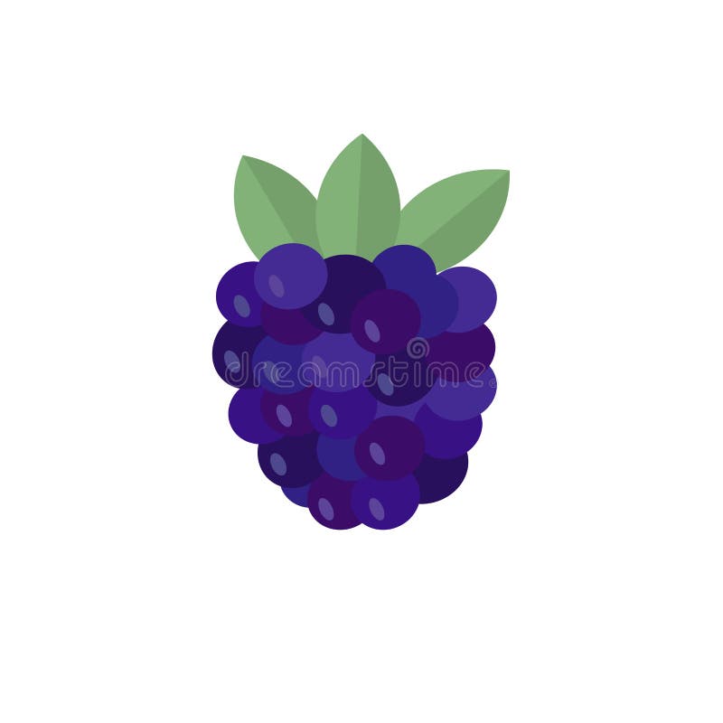 Raspberry Berry, Animated Vector Illustration Stock Vector ...