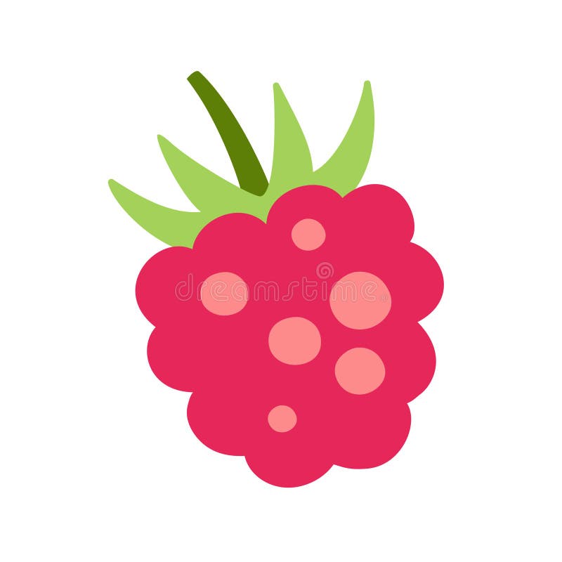 Raspberry Berry Hand Drawn Vector Illustration Stock Vector ...