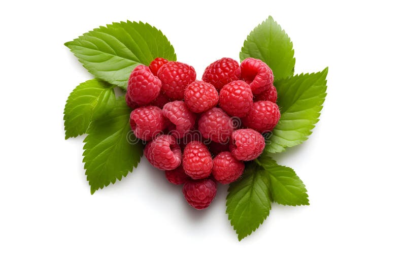 Raspberry Berry Heart Shape with Leaves Isolated on White Background ...