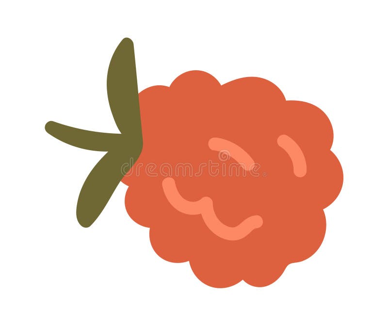 Raspberry Berry Icon stock vector. Illustration of plant - 273900879