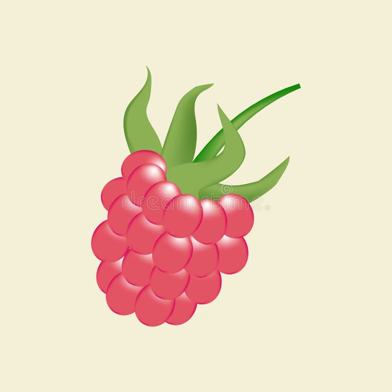 Raspberry Berry Icon stock vector. Illustration of fruit - 83272118