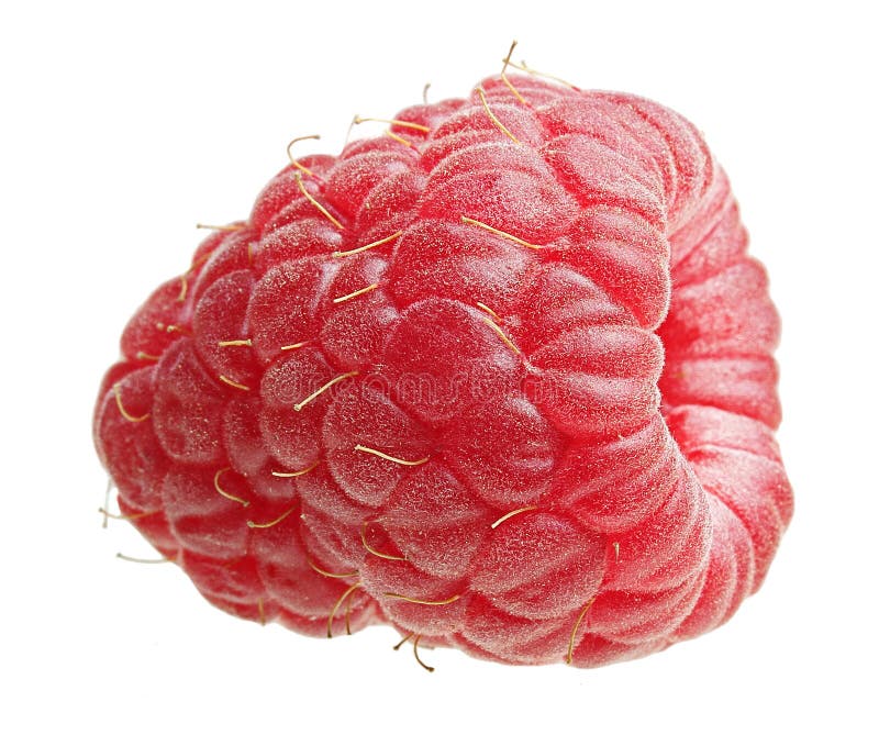 Raspberry Berry in the Garden Stock Photo - Image of juices, garden ...