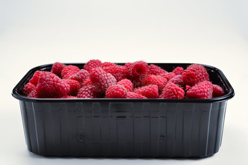 265 Black Raspberries Container Stock Photos - Free & Royalty-Free ...