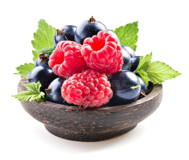 Raspberry and Black Currant Isolated on White Stock Image - Image of ...