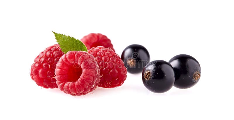 Raspberry and Black Currant Isolated on White Background Stock Photo ...
