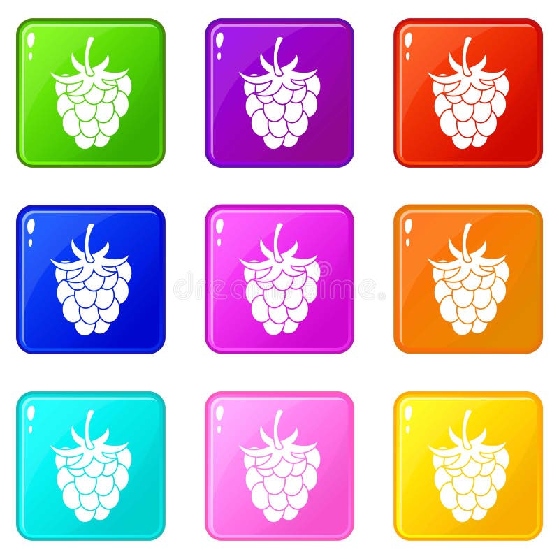 Raspberry or Blackberry Icons 9 Set Stock Vector - Illustration of ...