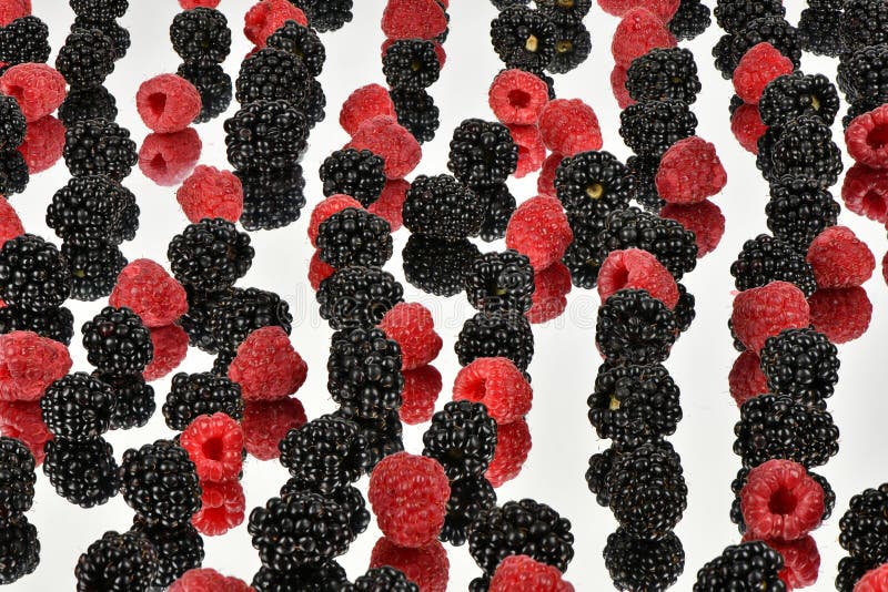 Raspberry and Blackberry on Mirror. Side View. High Resolution Photo ...