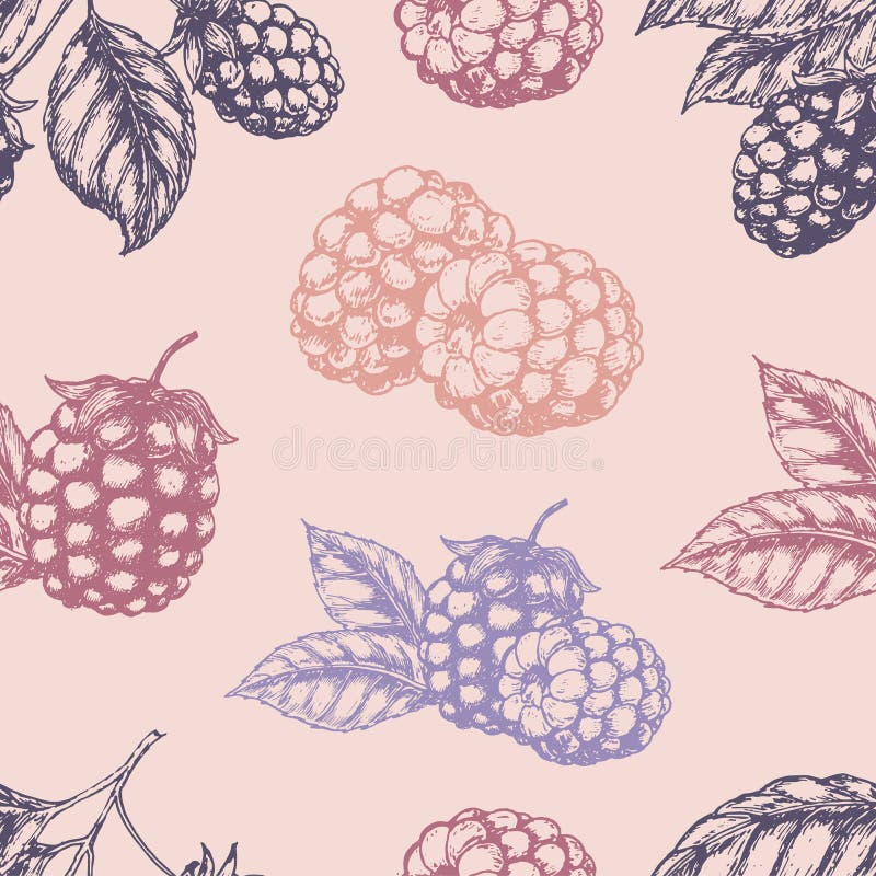 Blackberry Seamless Pattern. Vector Doodle Berry Design for Wallpaper ...