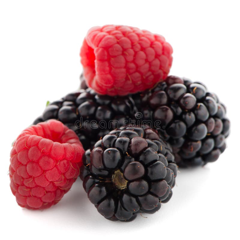 Raspberry with blackberry stock image. Image of blackberry - 95971911