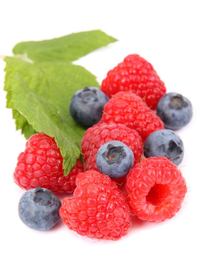 Raspberry and Blueberries stock photo. Image of fruit - 43303442