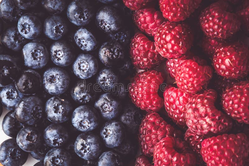 Raspberry and Blueberry. Background of the Raspberry and Blueberry ...