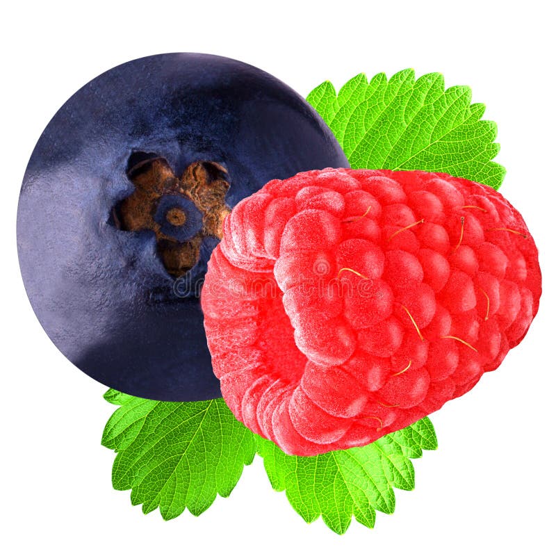 Raspberry and Blueberry with Leaf Stock Photo - Image of isolated ...