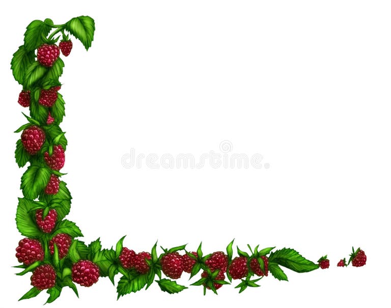Raspberry Blackberry Border Stock Illustrations – 609 Raspberry ...