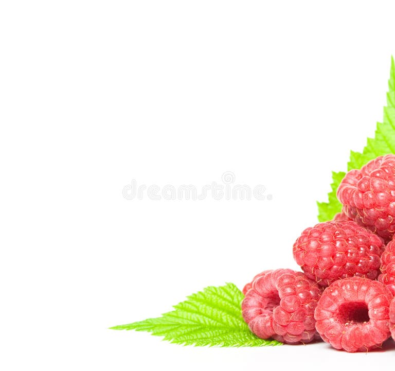 Raspberry border stock photo. Image of ingredient, fresh - 15153124