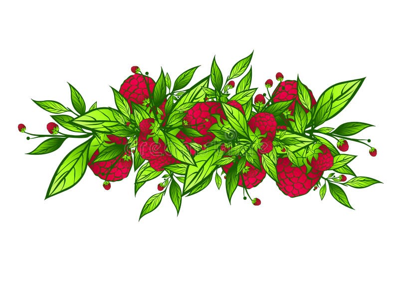 Raspberry Border Stock Illustrations – 1,144 Raspberry Border Stock ...