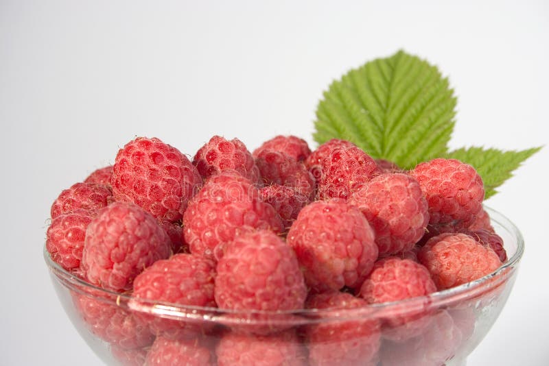 Raspberry bowl stock photo. Image of bowl, harvest, summer - 205318