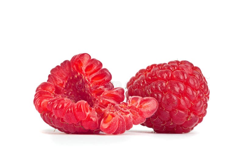 Closeup of Growing Organic Raspberries. Ripe Raspberry in Fruit Stock ...