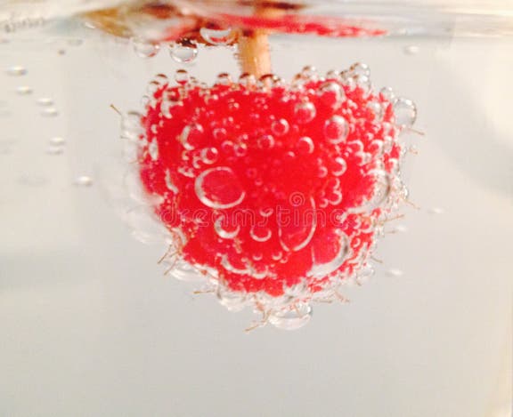 Raspberry Bubbles stock image. Image of bubbles, water - 44406609