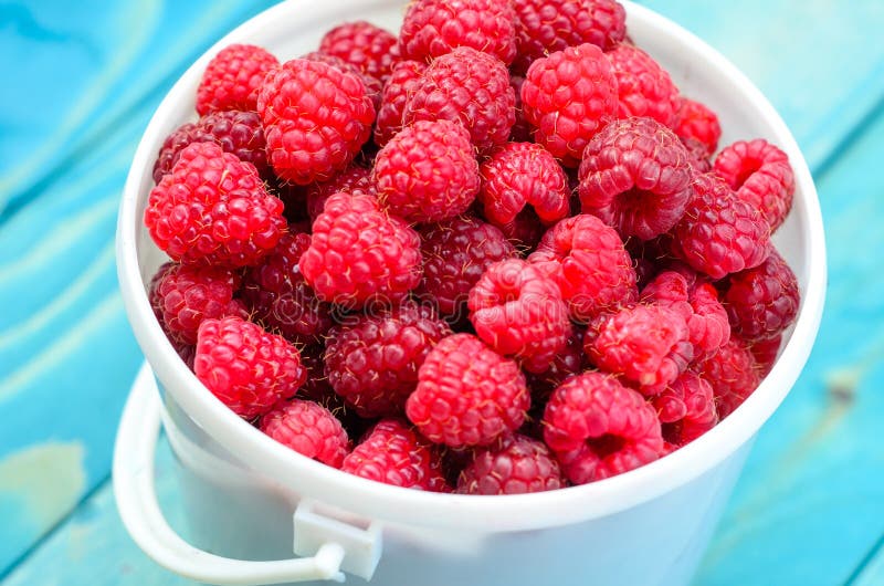 Raspberry bucket stock photo. Image of blackberry, bucket - 59730084