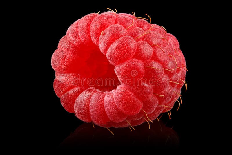 Raspberry stock photo. Image of berry, organic, dessert - 56122766