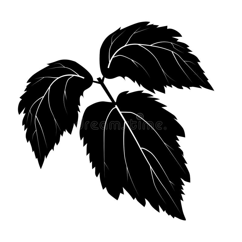 Raspberry bush silhouette stock vector. Illustration of nature - 238958764