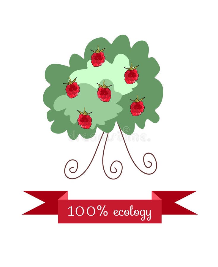 Raspberry Bush Stock Illustrations – 1,248 Raspberry Bush Stock ...