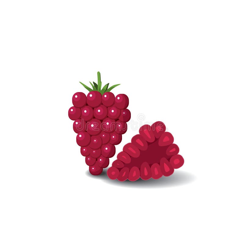Raspberry Cartoon Fruit. Vegan Organic Eco Product Stock Vector ...
