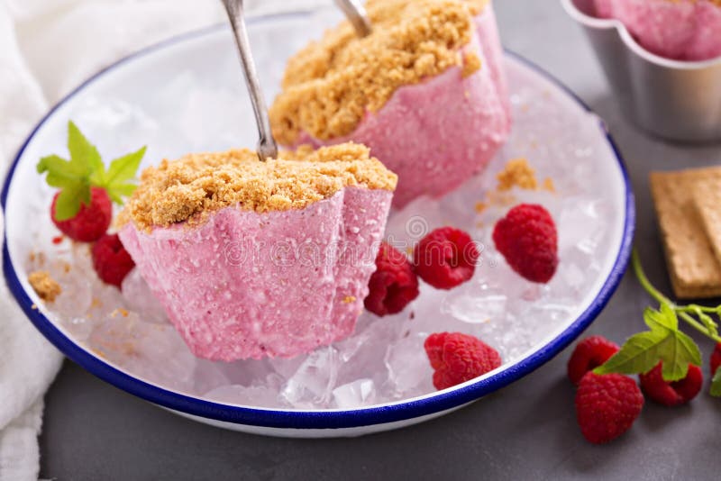 Raspberry Cheesecake Ice Cream Pops Stock Photo - Image of dairy ...