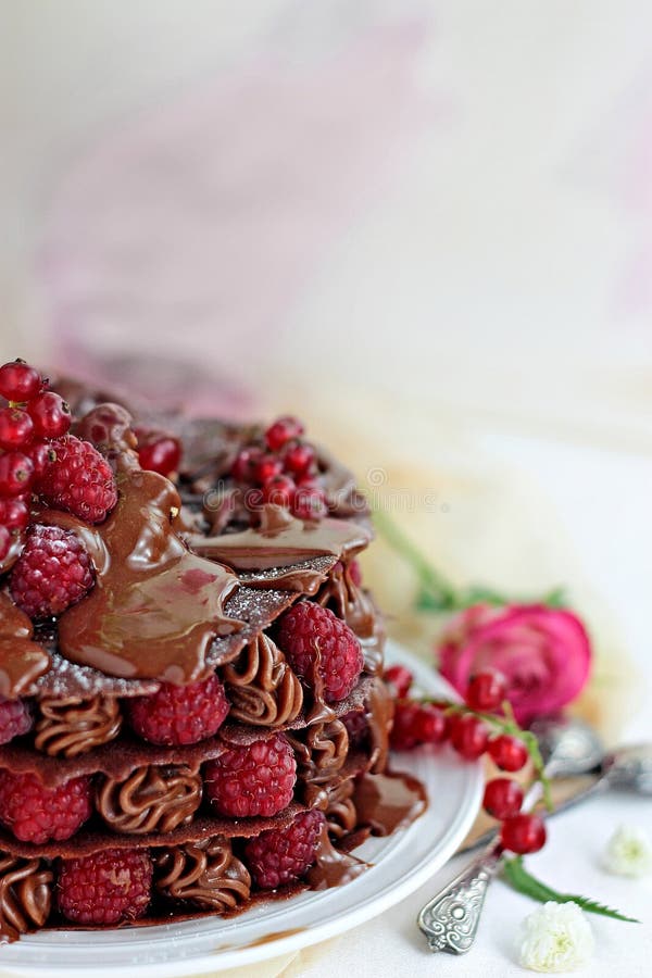 Raspberry Chocolate Dessert Stock Image - Image of white, spoons: 32009693