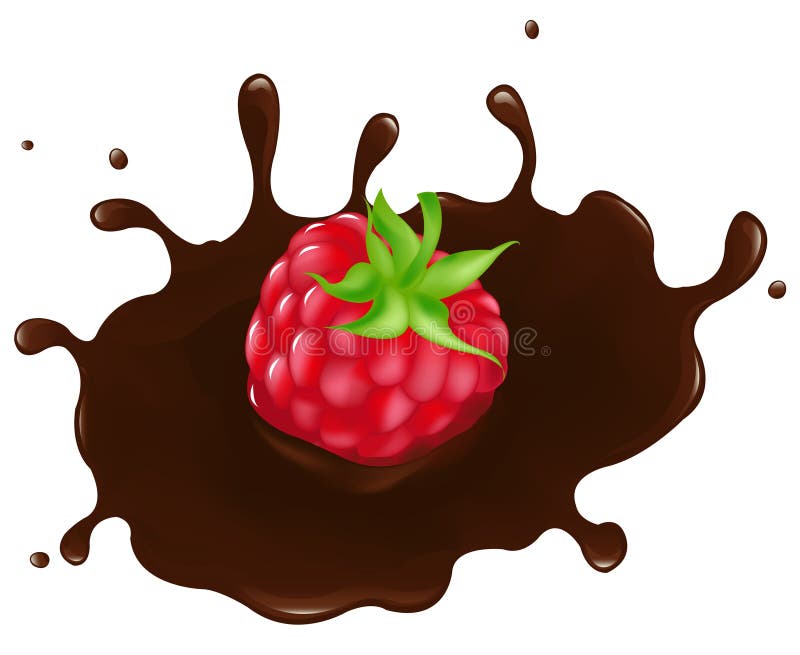 Raspberry in Chocolate Splash. Vector Stock Vector - Illustration of ...