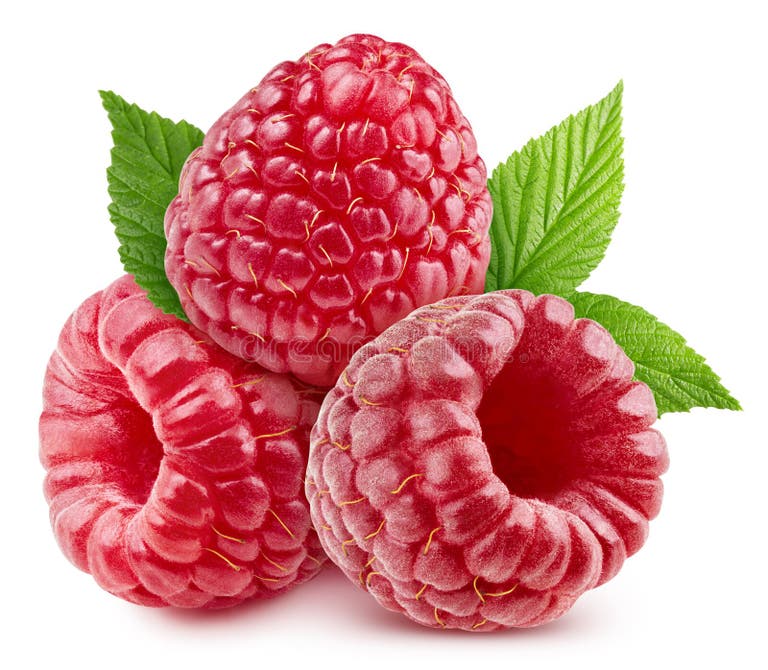 Raspberry Clipping Path with Leaves Stock Image - Image of home, berry ...